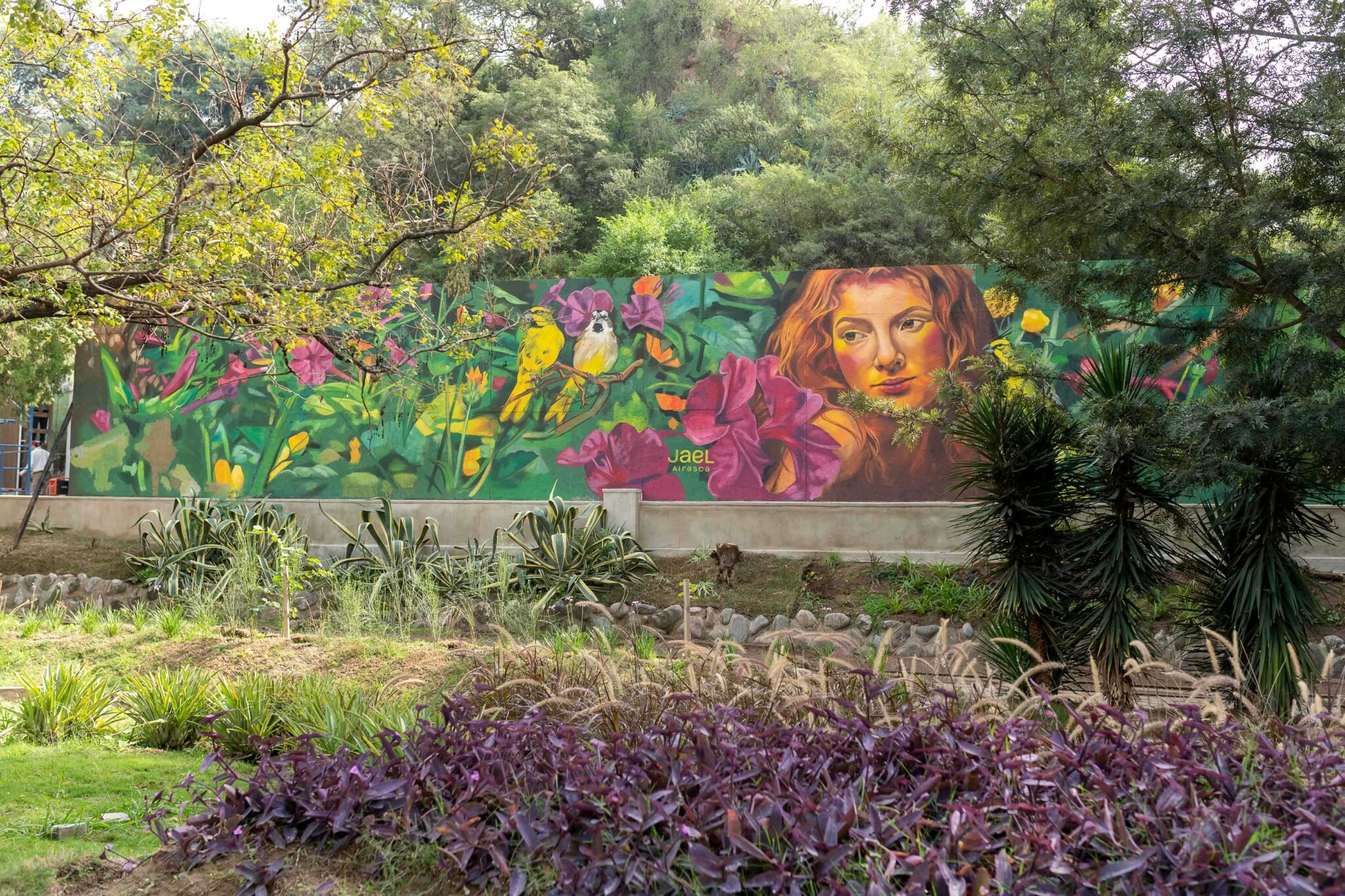 Murales que revalorizan la flora y fauna autóctonas de Córdoba – Ente ...